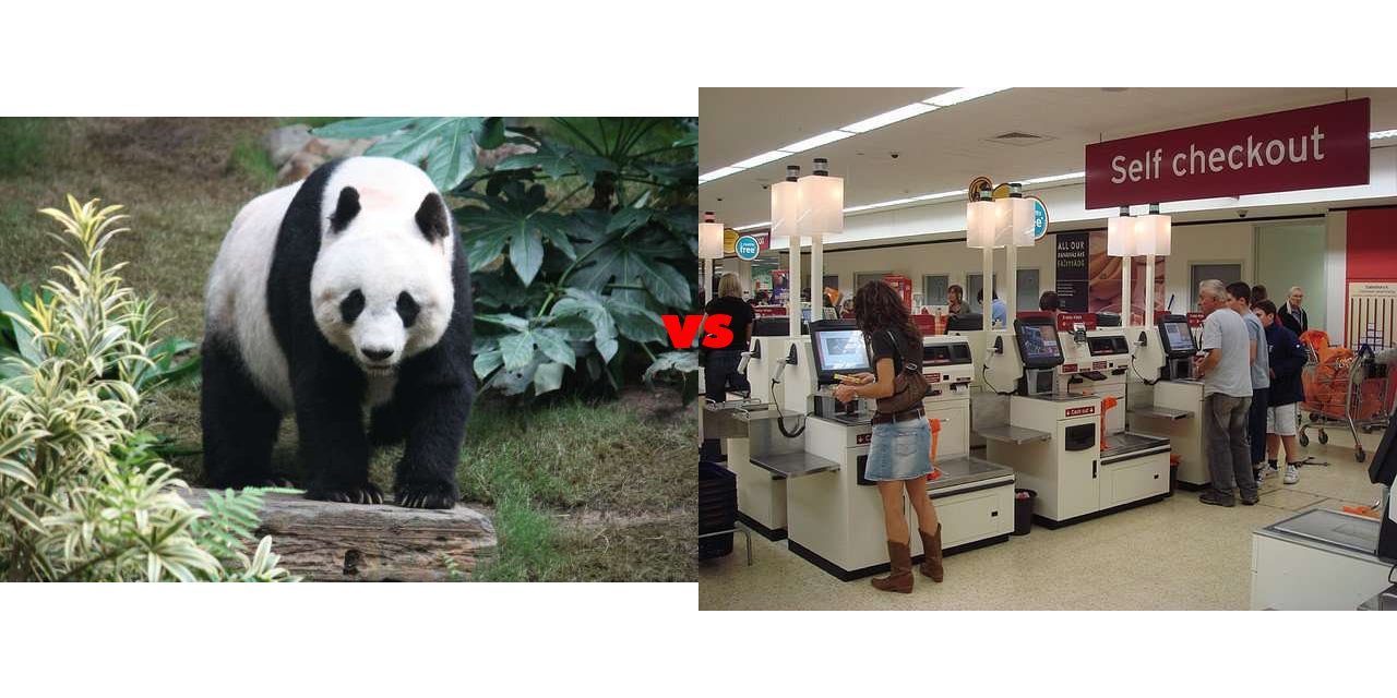 Results for Giant Pandas vs Self-service checkouts on The Big Fat List